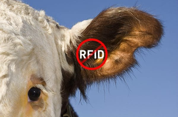 Creating Happy Cows for Higher Production! | MTE Corporation